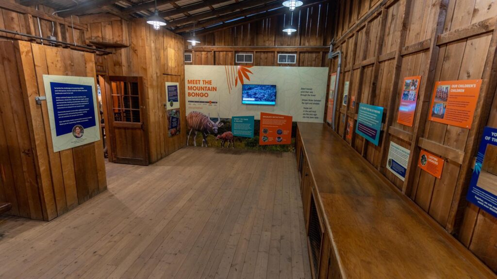 There's Something New in the African Rainforest Building! - Wilder ...