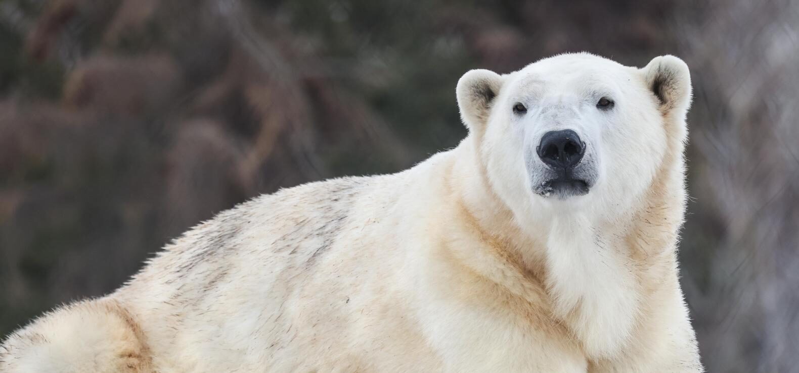 Destination Guide - Wilder Institute/Calgary Zoo