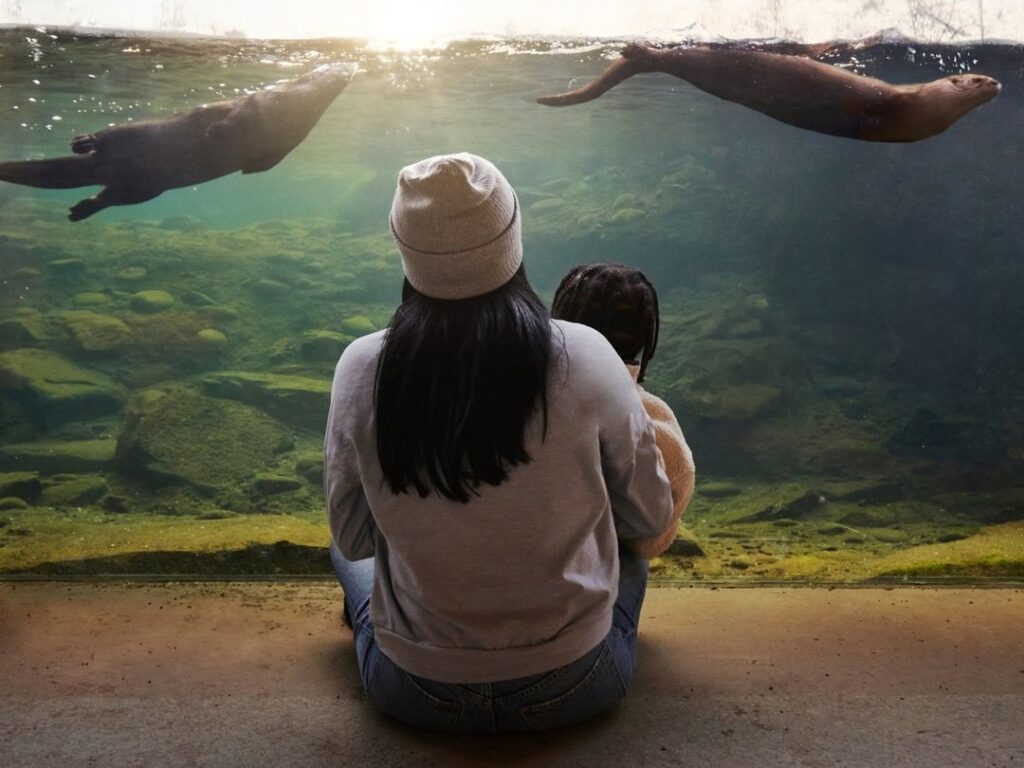 The Calgary Zoo - Wilder Institute/Calgary Zoo