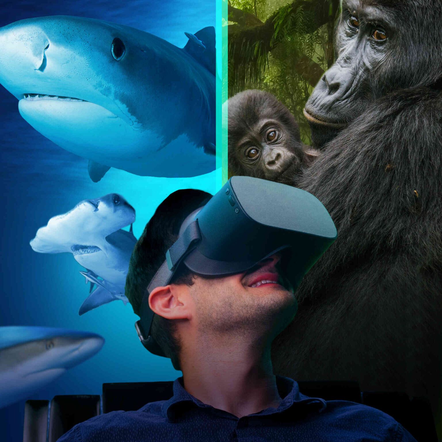 Virtual Reality Experience - Wilder Institute/Calgary Zoo