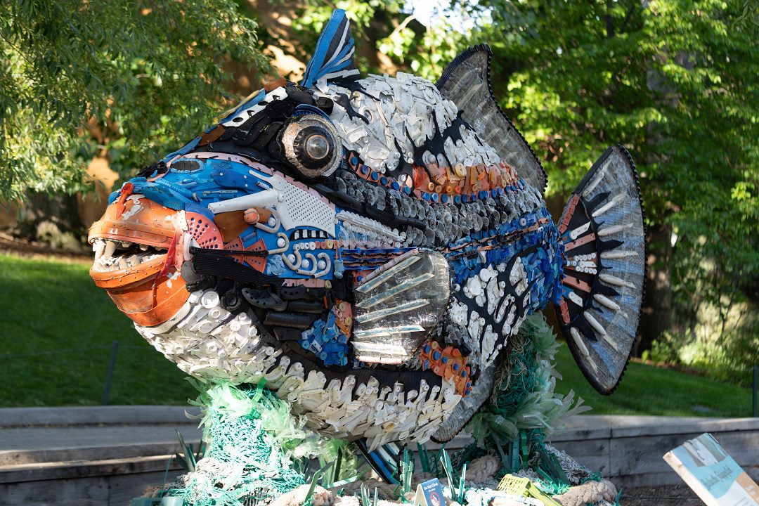 Art With Impact: Wilder Institute/Calgary Zoo Hosts Washed Ashore ...